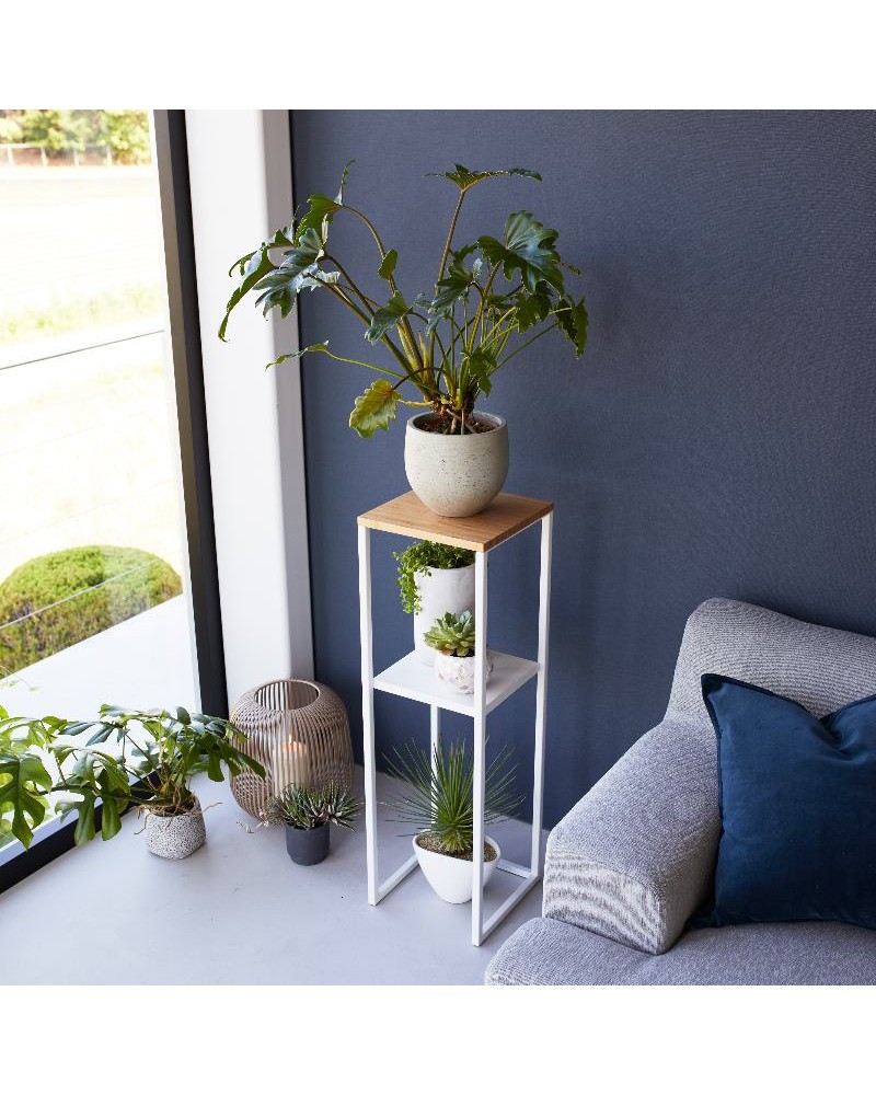 2-Tiered Shelf with Wooden Top for Entrance, Living and Bed room