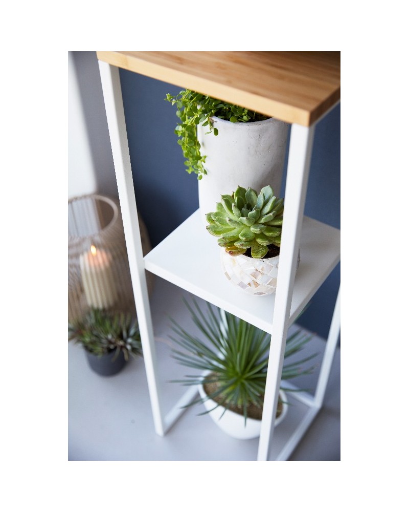 2-Tiered Shelf with Wooden Top for Entrance, Living and Bed room